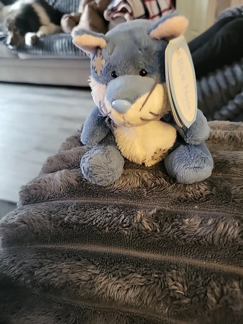 THE BLUE NOSE Friends Plush Baffle The Sly Fox No #78 with Tags £7.05 ...
