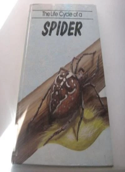 THE LIFE CYCLE Of A Spider (Life cycles)-Hachette Children's Boo £4.87 ...