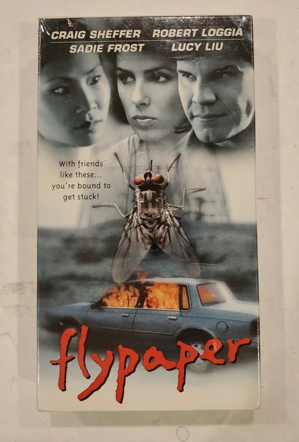 Flypaper Craig Sheffer Lucy Liu Sadie Frost Vhs Eur 1436 Picclick Fr