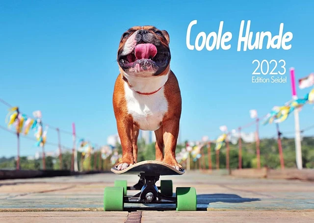 EDITION SEIDEL COOLE Hunde Premium Kalender 2023 DIN A3 Wandkalender ... EDITION SEIDEL COOLE Hunde Premium Kalender 2023 DIN A3 Wandkalender ...