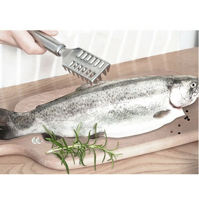 CONVENIENT FISH SCALE Cleaner Scaler Descaler Tool for Seafood Markets ...