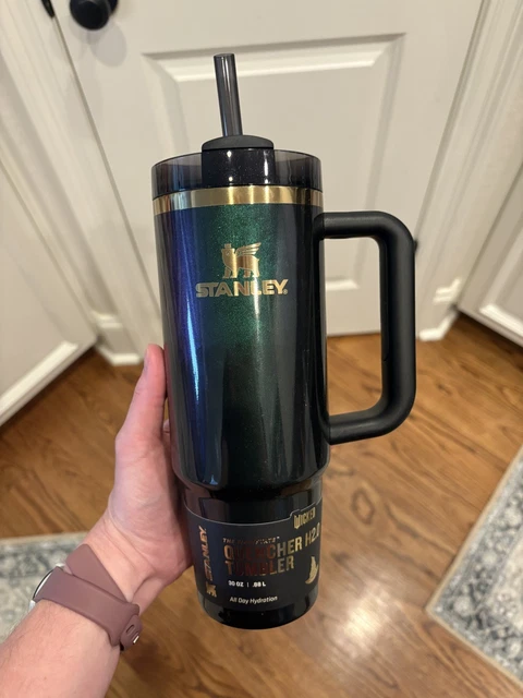 STANLEY X WICKED 30oz FlowState Quencher Tumbler Elphaba For Good NEW ...