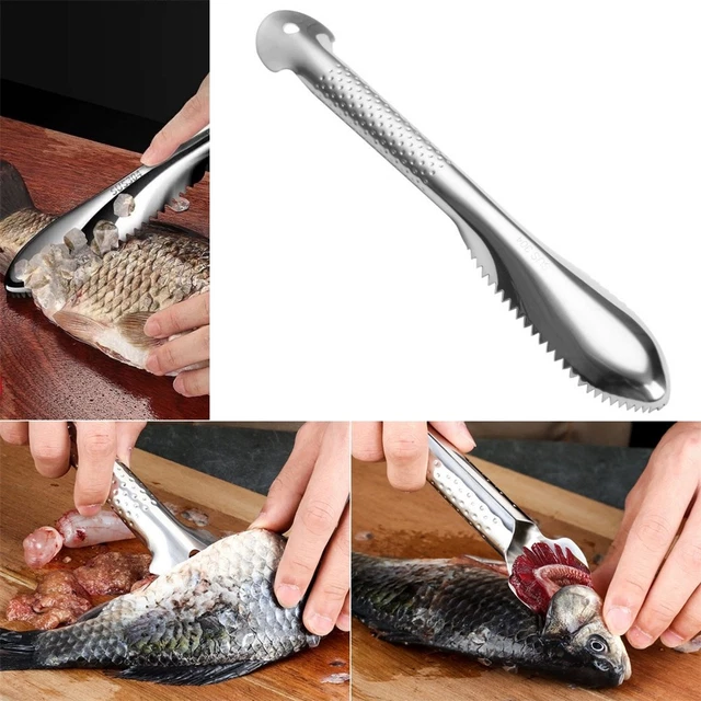 EASY TO USE Fish Scaler Remover Comfortable Grip Dishwasher Safe ...