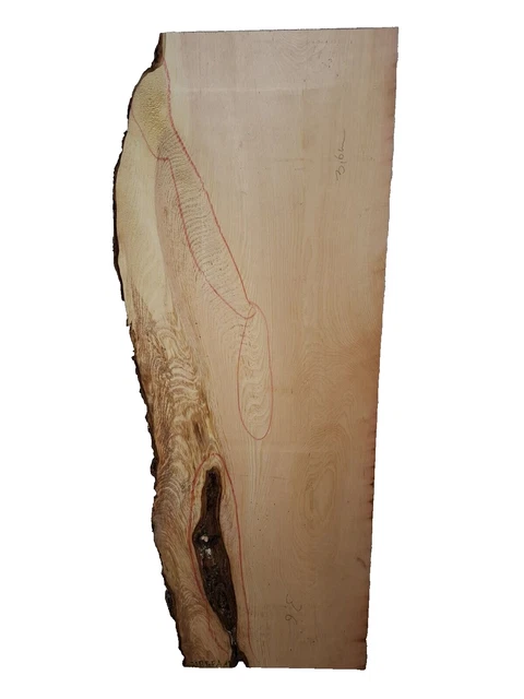 1X ZIRBE ZIRBLKIEFER Holz Bohle Brett Baumkante Holz Zirbenspänne Arve ...