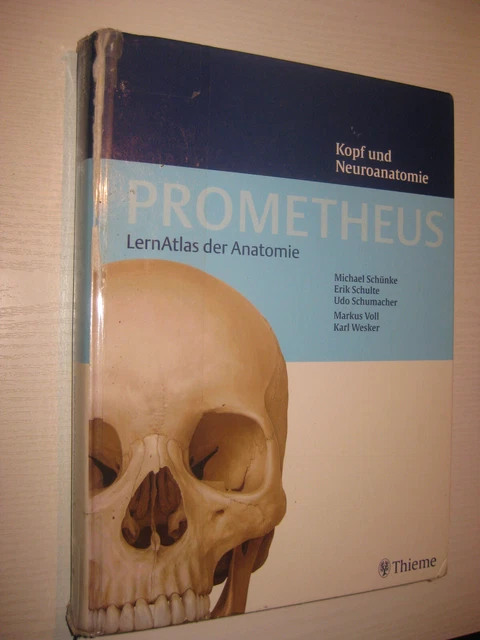 PROMETHEUS LERNATLAS DER Anatomie. Kopf und Neuroanatomi... | Buch ...