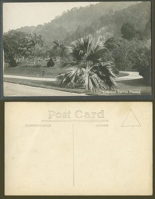 PENANG OLD REAL Photo Postcard Botanical Garden Botanic Gardens, Palm ...