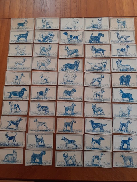 TURF CIGARETTES - Famous Dog Breeds - Complete set of 50 cigarette ...