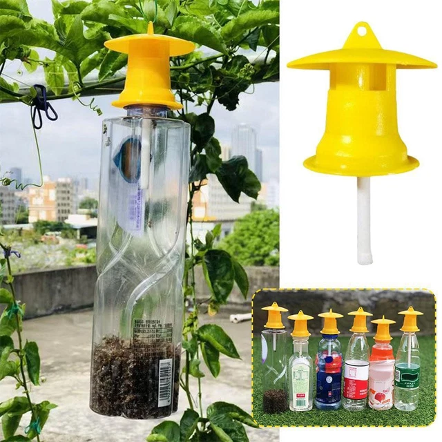 REUSABLE FRUIT FLY Trap Killer Yellow Cage Drosophila Fly UK Catcher ...