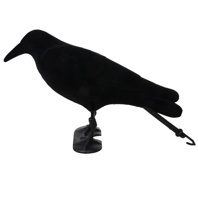 BLACK FLOCKED CROW Full Body Decoy with Legs and Stake for $26.17 ...