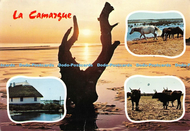 D108438 LA CAMARGUE. Societe Editions de France. Cliche SPEA. Multi ...
