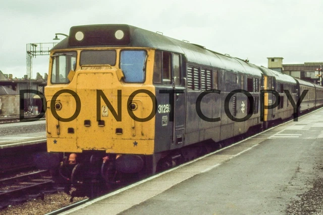 UK DIESEL TRAIN Railway Photograph Of Class 31 31259 Loco. (Rm31-310) £ ...