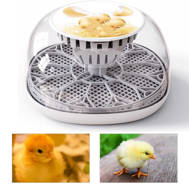 12 EGG INCUBATOR Automatic Turning Digital Hatching Machine Chicken ...