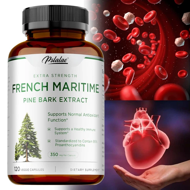 FRENCH MARITIME PINE Bark -Immune Health,Improve Blood Circulation ...