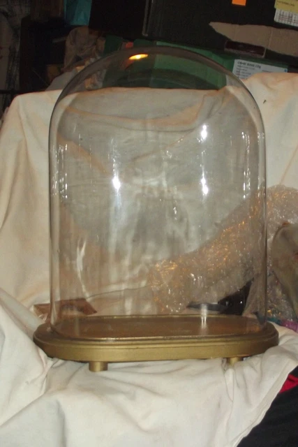 ANTIQUE VICTORIAN GLASS Dome Display Case Oval For Clocks Wooden Base ...