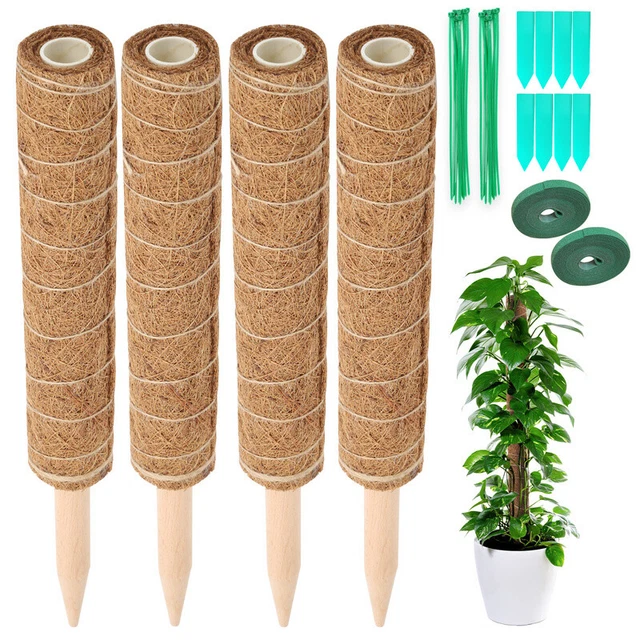 2-10X PFLANZSTAB VERLÄNGERBAR Rankstab Heim 40cm Monstera Rankhilfe ...