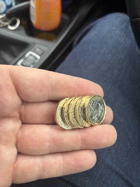 2025 KING CHARLES Bee £1 Coin New Royal Mint £1,026.68 - PicClick UK