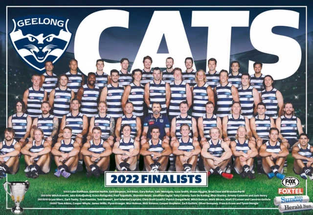 GEELONG CATS TEAM POSTER,LAMINATED, AFL FOOTBALL, RICHMOND TIGERS,SWANS ...