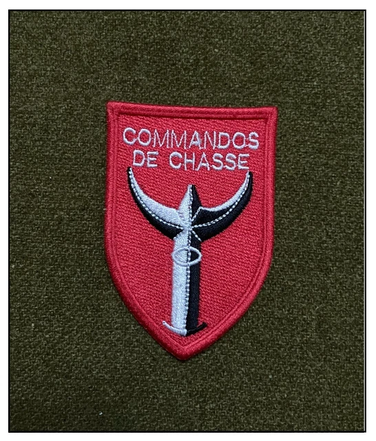 INSIGNE COMMANDO CHASSE para TAP Indochine Algérie BEP BCP RCP DBP brevet BPC EUR 39,00 ...