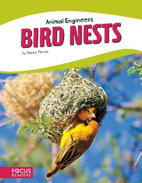ANIMAL ENGINEERS: BIRDS Nests by Stacy Tornio (English) Paperback Book ...