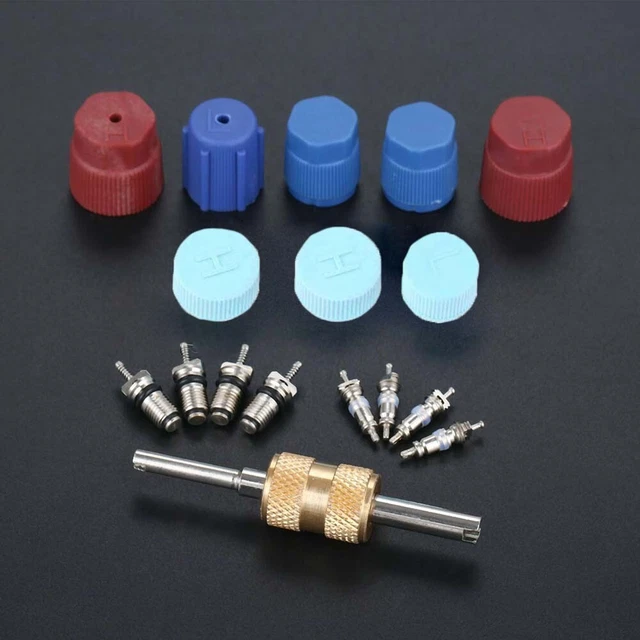 REPLACEMENT CAR A/C Cap Kit A/C System Air Conditioning R12 R134A R22 ...