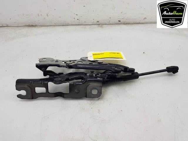 BISAGRA DE CAPÓ HOOD HINGE BMW 5 serie Touring (G31) 2019 7347408 / ...