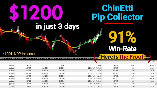 CHINETTI PIP COLLECTOR meilleur système FOREX 2021 (91 % taux de ...