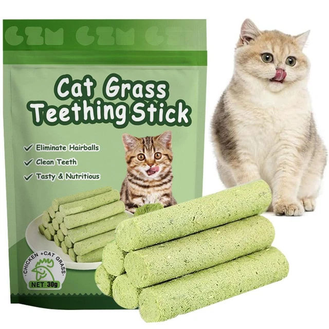 6X CAT GRASS Teething-Stick Pet Snack Hairball Removal Cleanuk Teeth ...
