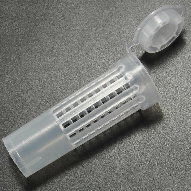KIT D'ÉLEVAGE D'ABEILLES efficace pour un processus d'élevage de reines ...