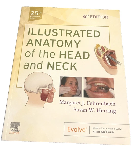 ILLUSTRATED ANATOMY OF the Head and Neck 6th Edition - Margaret J ...