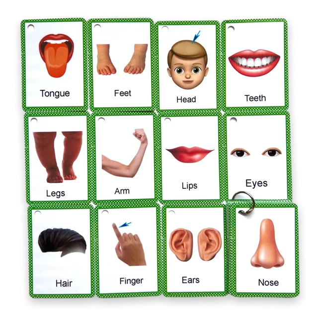 24 BODY PARTS Flash Cards - Educational/ Preschool/ what hurts/ Writing ...