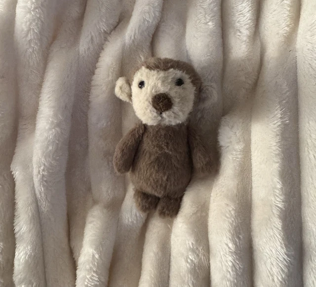 JELLYCAT RARE TINY I am Fluffy Monkey Retired Soft Toy Plush £104.68 ...