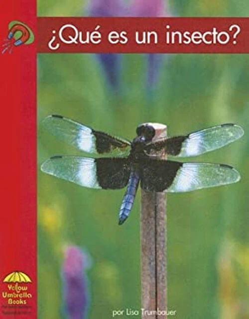 QU'EST-CE QU'UN INSECTE ? Relié Lisa Trumbauer EUR 4,48 - PicClick FR