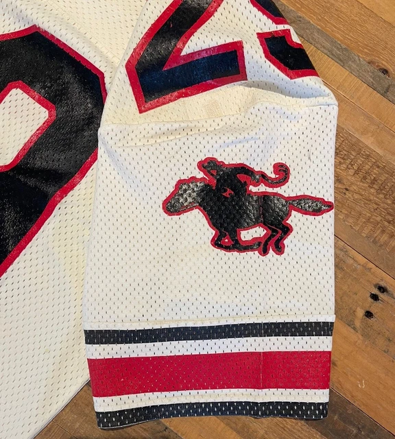 1983 TAMPA BAY Bandits USFL Sam Platt #29 Game Worn / Used Road Jersey ...