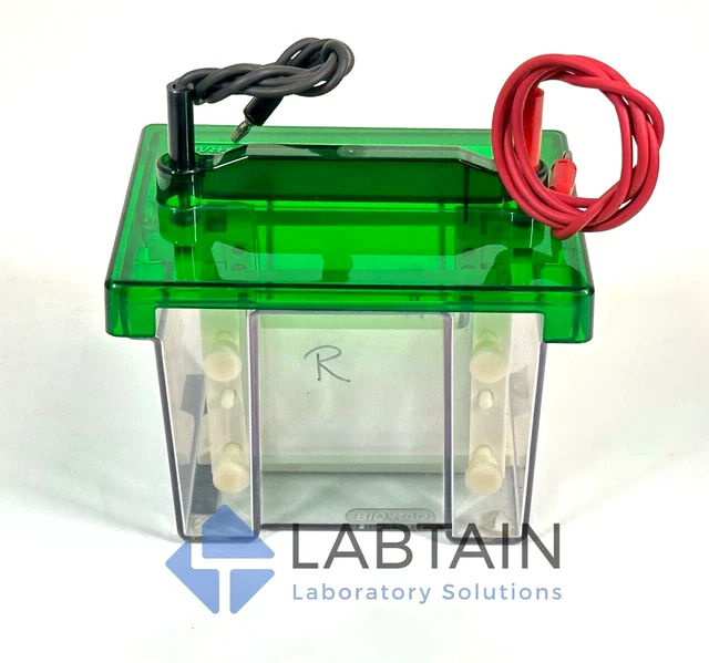 BIORAD / BIO-RAD Mini PROTEAN II Vertical Electrophoresis System ...