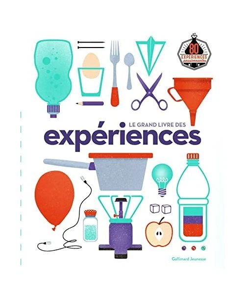 LE GRAND LIVRE des expériences, Graham, Ian; Goldsmith, Mike; Collectif EUR 24,98 - PicClick FR