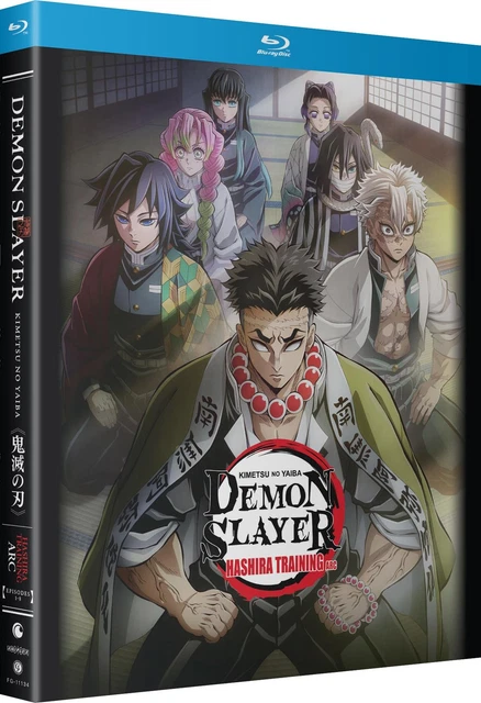 DEMON SLAYER: KIMETSU No Yaiba: Hashira Training Arc (Blu-ray) (US ...