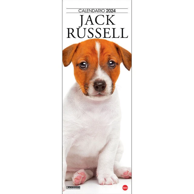 JACK RUSSELL CALENDARIO 2024 Buen Hombre 2024 40X15 EUR 15,90 - PicClick ES