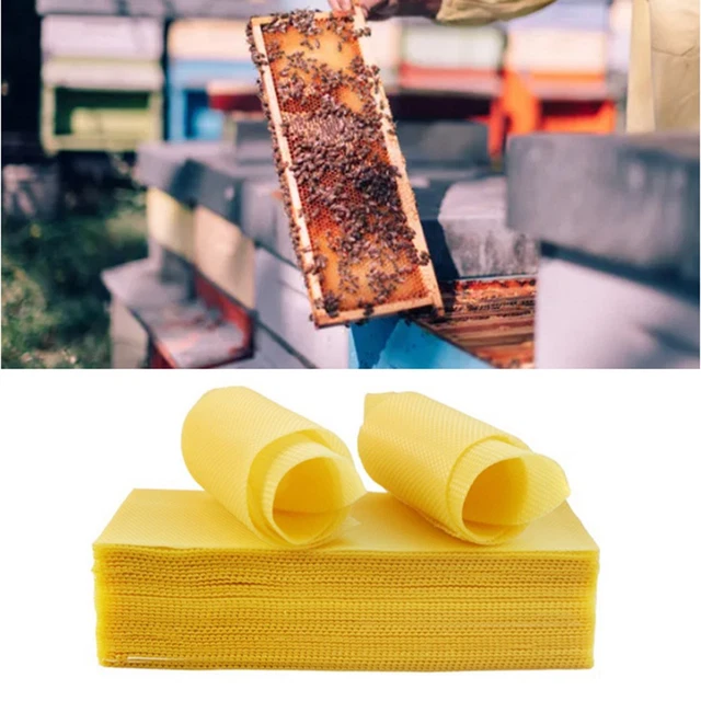 BEESWAX FOUNDATION UNIFORM Thickness Beeswax Sheets 10Pcs For Candles ...