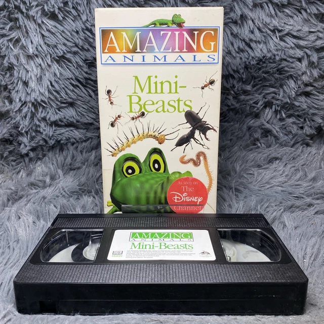 HENRY’S AMAZING ANIMALS Mini-Beasts VHS Tape 1996 Disney Kids Lizard DK ...