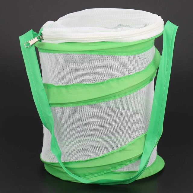 SMALL PRAYING Stick Insect Butterfly - Cage Housing Enclosure X8A88818 ...