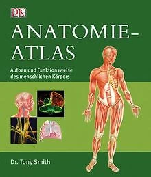 ANATOMIE-ATLAS: AUFBAU UND Funktionsweise des mensc... | Buch | Zustand ...