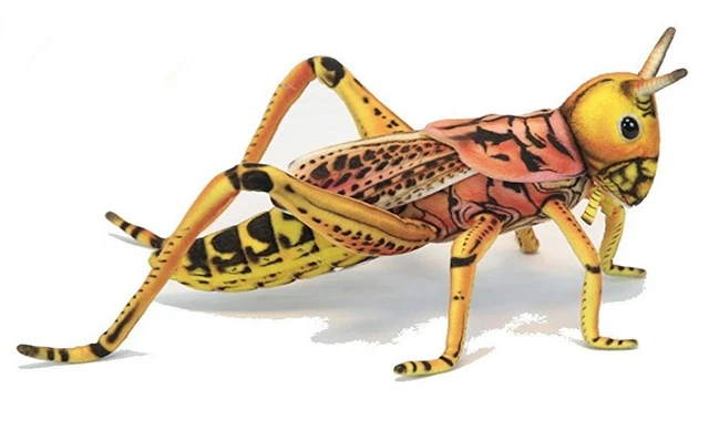 LOCUST GRASSHOPPER 27CM Plush Soft Toy by Hansa - Authorised UK ...