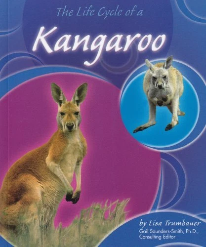 THE LIFE CYCLE of a Kangaroo (Life Cycles (QEB Publishing)) £4.08 ...