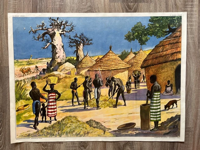ANCIENNE BELLE AFFICHE PEDAGOGIQUE SCOLAIRE : 12 CLIMAT CHAUD / 11 IL ...
