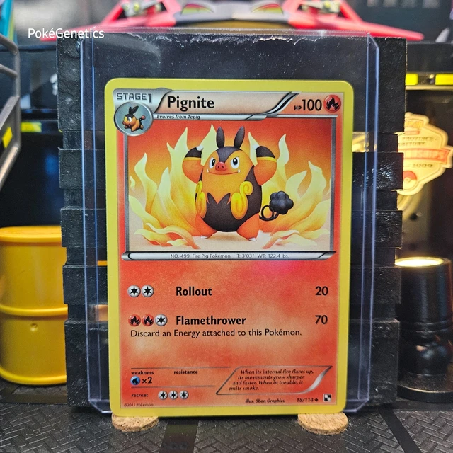 PIGNITE BLACK & White 1 Pokémon TCG 18/114 Uncommon £3.62 - PicClick UK
