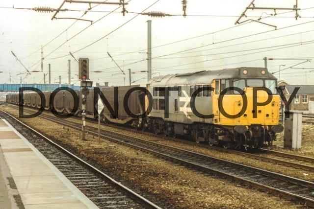UK DIESEL TRAIN Railway Photograph Of Class 31 31113 Loco. (Rm31-49) £1 ...