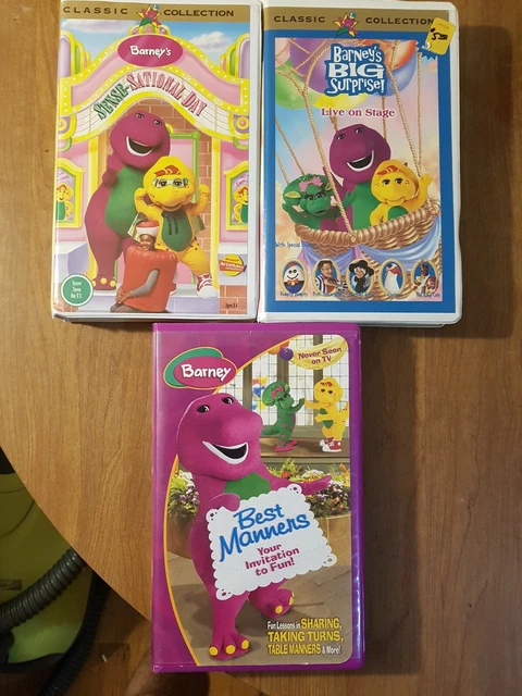 Barney Sense Sational Day Lot Of 19 VHS Barney The Dinosaur OOP