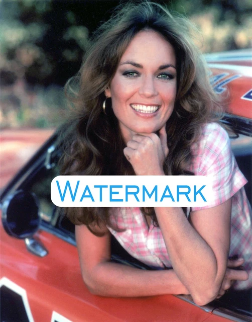 LEGGY CATHERINE BACH Daisy Duke General Lee ** Fine Art Archival Photo ...