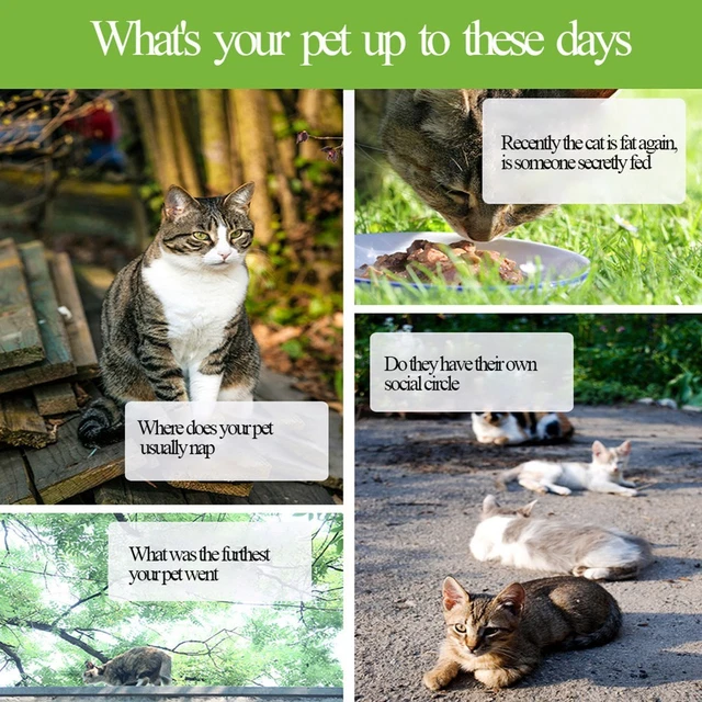 DATA LOGGER Tracker Logger for Dog Pet Sport Hiking Traveler ...