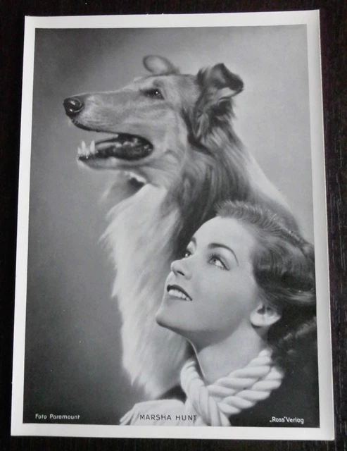 FOTODRUCK SCHAUSPIELER MARSHA Hunt Trading Card Ross Verlag 18 x 13 cm ...